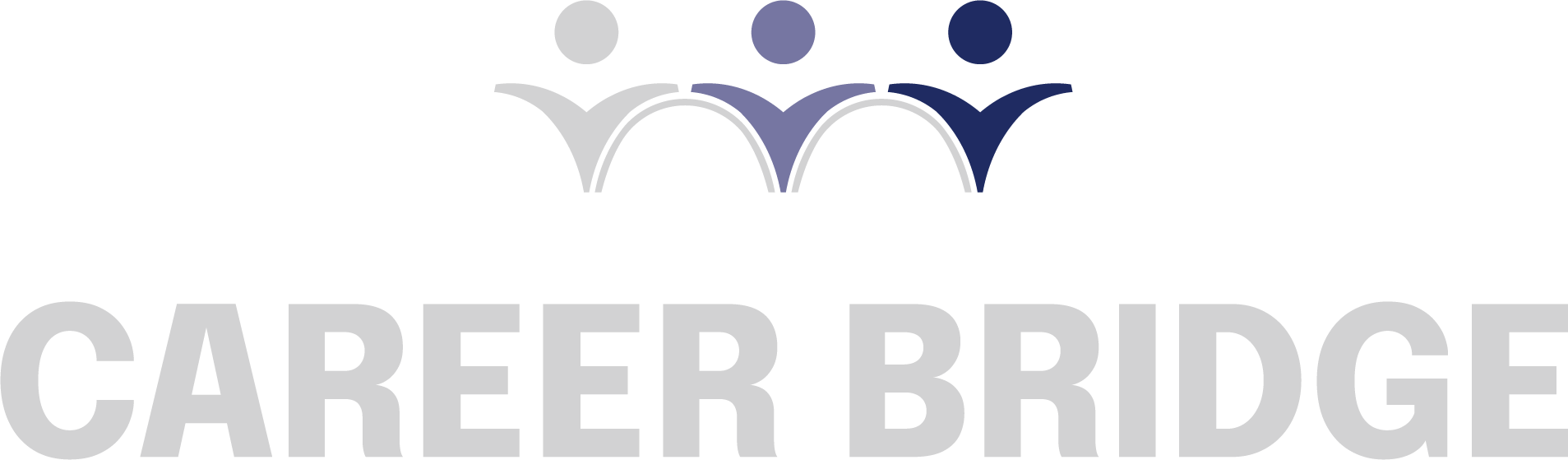 Career Explorer - Tech Career Bridge